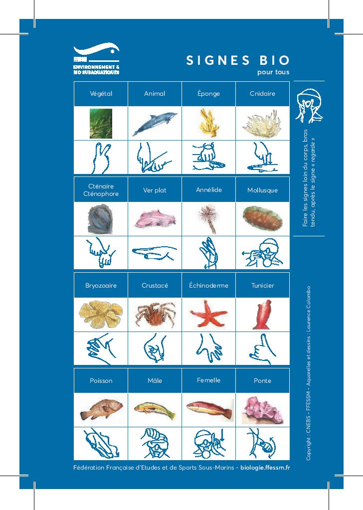 Les signes en biologie marine | AVGPlongee