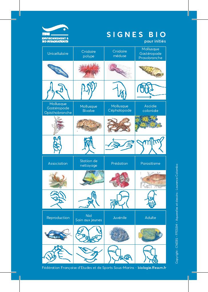 Les signes en biologie marine | AVGPlongee